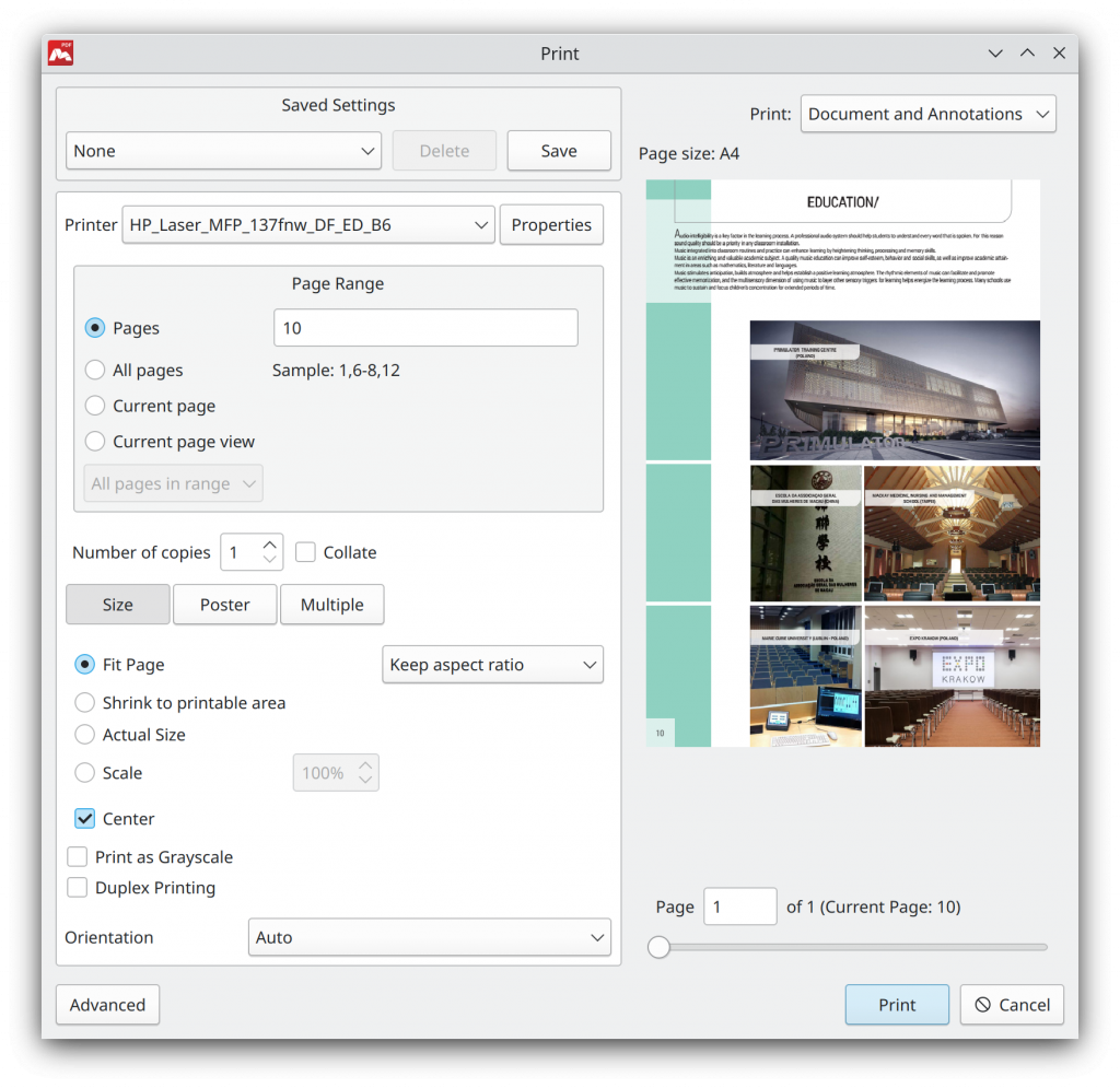 Print PDF Files with Master PDF Editor